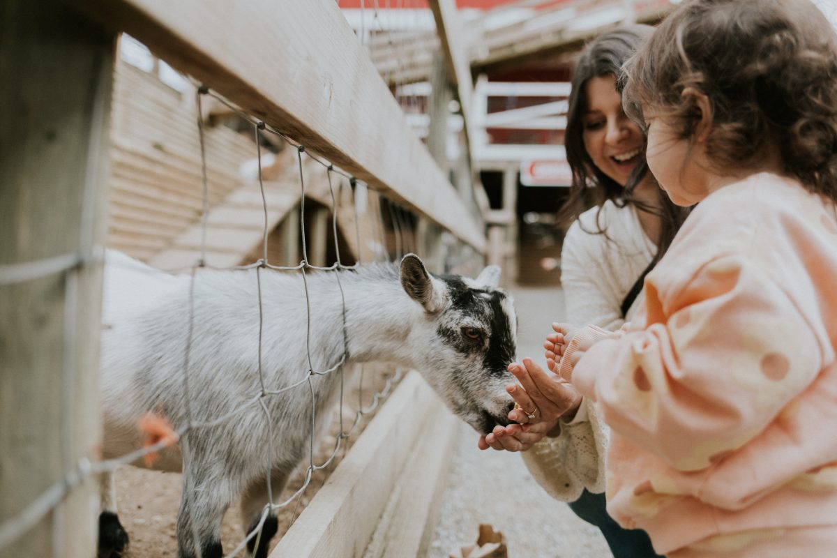 Attractions and Shopping - Tourism Abbotsford