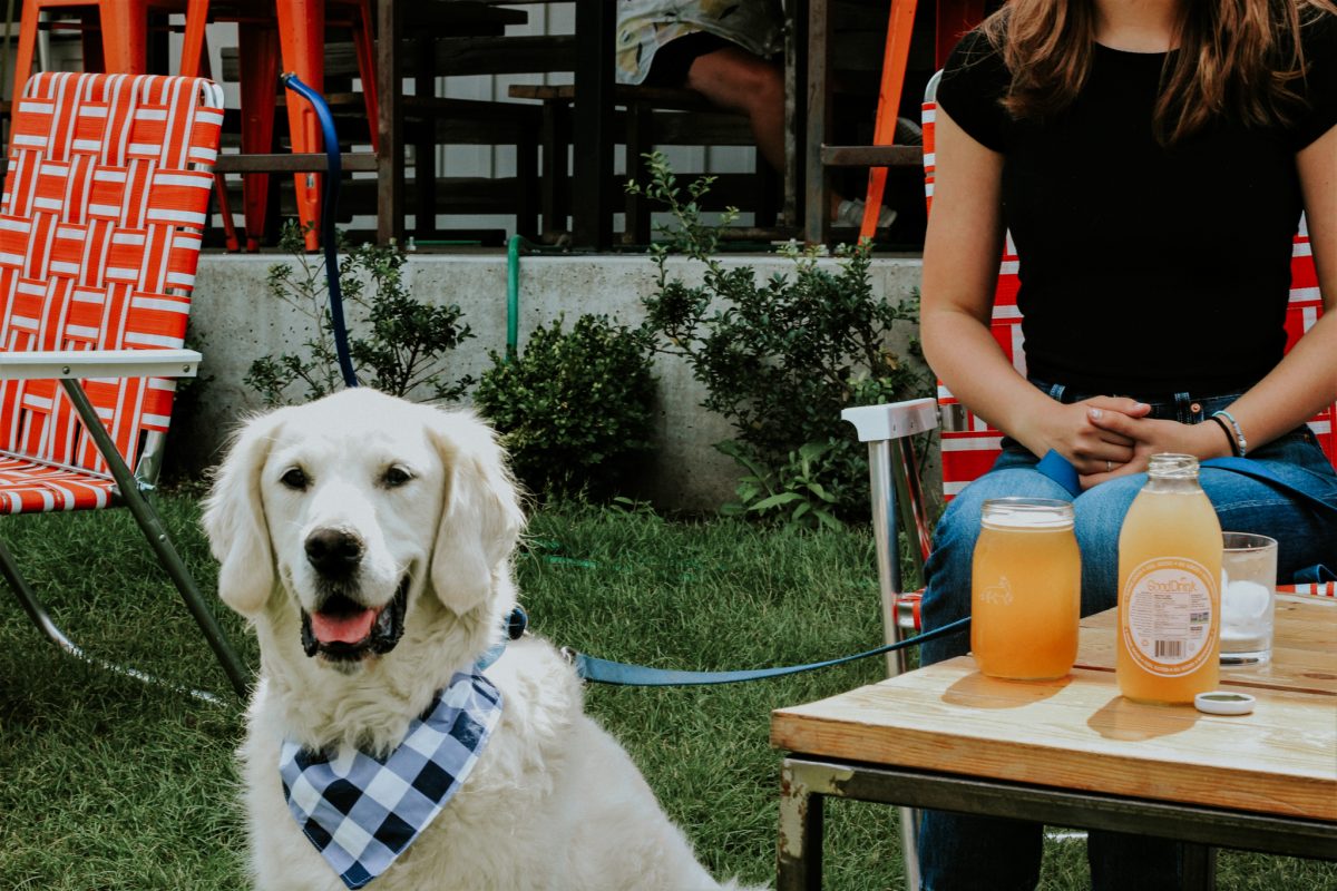 Dog Friendly Places in Abbotsford - Tourism Abbotsford