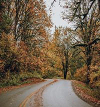 Find the Fall Colours in Abbotsford - Tourism Abbotsford