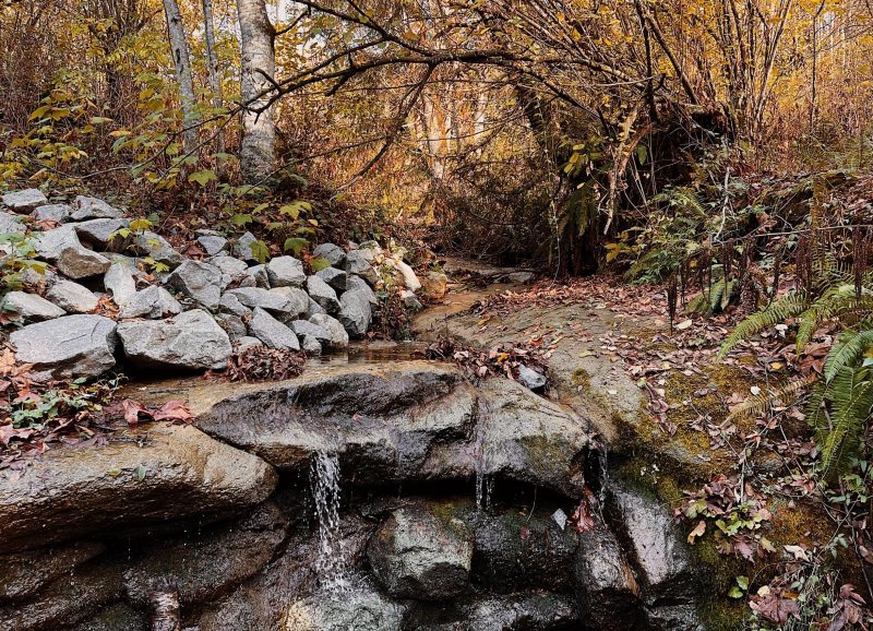 Find the Fall Colours in Abbotsford - Tourism Abbotsford