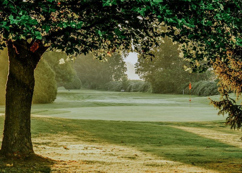 10 Things To Do in Abbotsford This Summer - Tourism Abbotsford