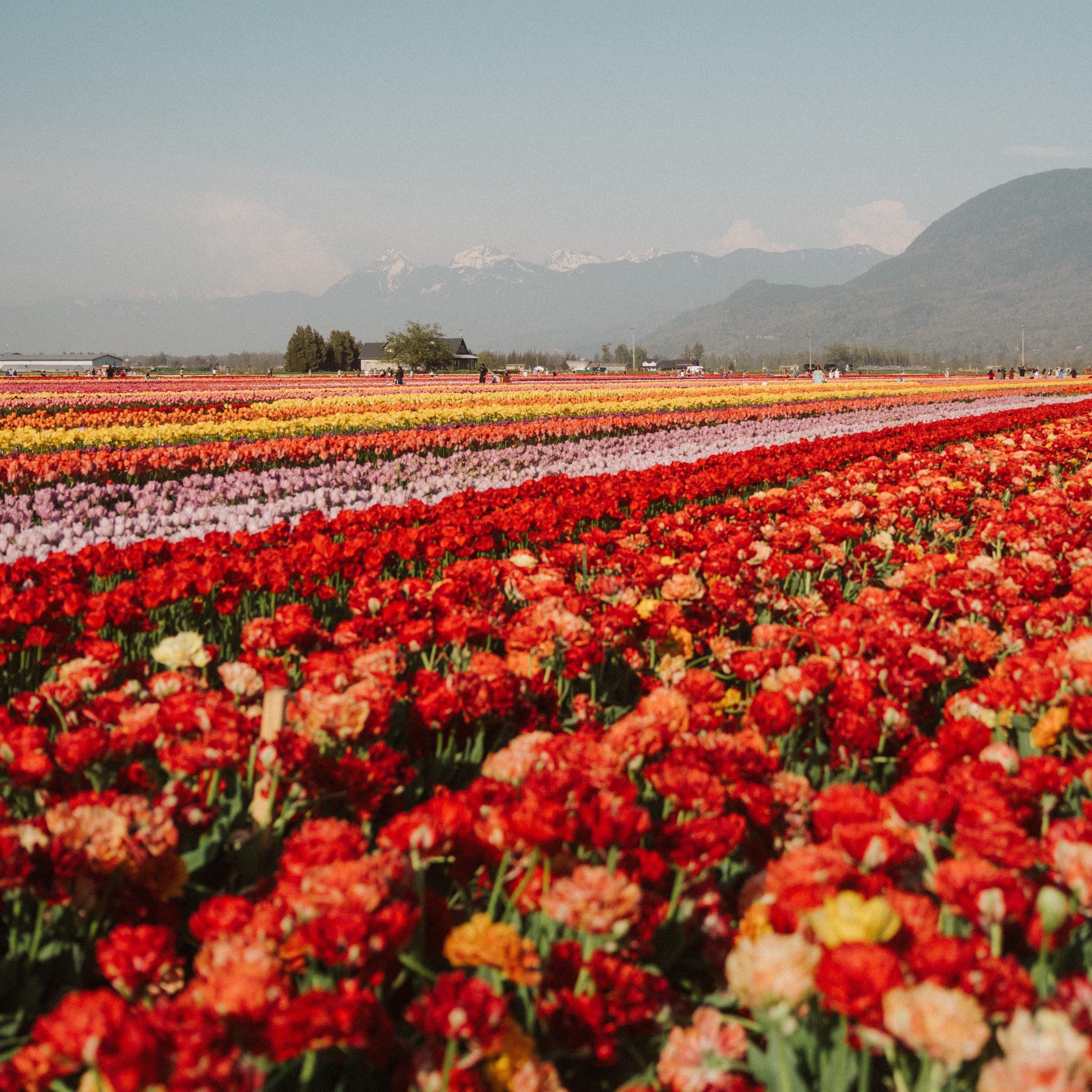 Home - Tourism Abbotsford