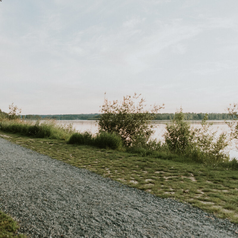 10 Things to Do in Abbotsford this February - Tourism Abbotsford