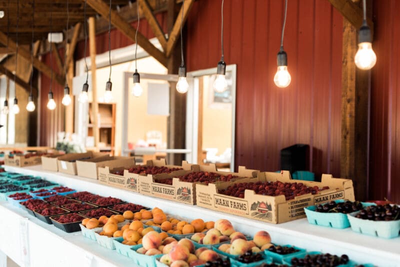 Maan Farms Country Experience & Estate Winery - Tourism Abbotsford