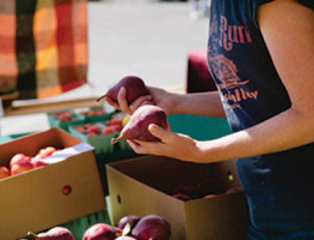 Neufeld Farms - Tourism Abbotsford