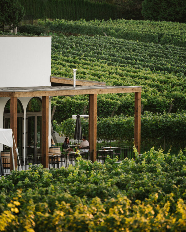 Summer in Abbotsford: A Two-Day Circle Farm Tour Itinerary - Tourism ...