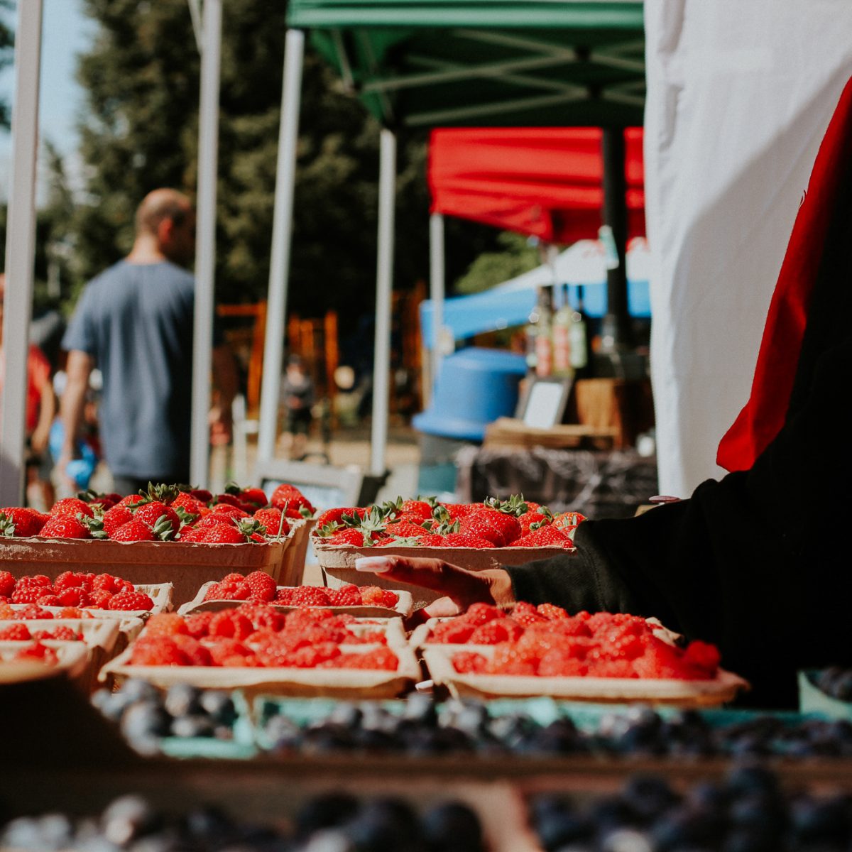 10 Things To Do in Abbotsford This May - Tourism Abbotsford